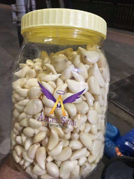 Root Vegetables Dealers in Nirmala Road, Rajkot | Root Vegetables ...