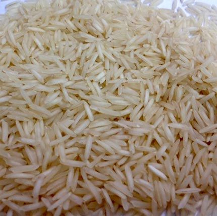 Pusa Basmati Rice Sella Dealers in MP Nagar, Bhopal | Pusa 1121 ...