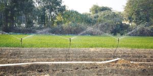 Sprinkler System Dealers in Tatya Tope Nagar, Kanpur | Sprinkler System ...