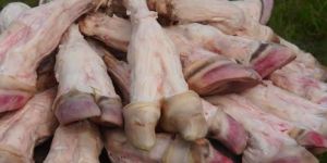 Frozen Meat Dealers in Delhi Gate, Delhi | Frozen Meat Suppliers ...