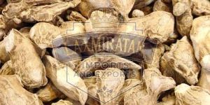 Ginger Dealers in Kolshet Road, Thane | Fresh Ginger Suppliers ...