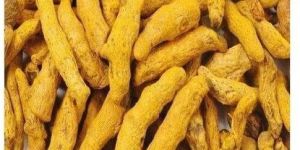 Organic Turmeric Finger Dealers in Aurangabad | Organic Turmeric Finger ...