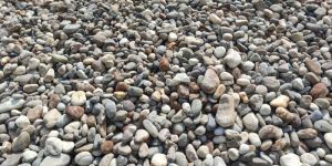 Sonal Farm in Rapar, Kutch, Gujarat - Clay Dealer | IndianYellowPages