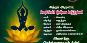 HONEY ANT WAY in Erode, Tamil nadu - Herbal Medicines Dealer ...