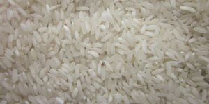 Rice Dealers in Mandya | Chawal Suppliers & Manufacturer List ...